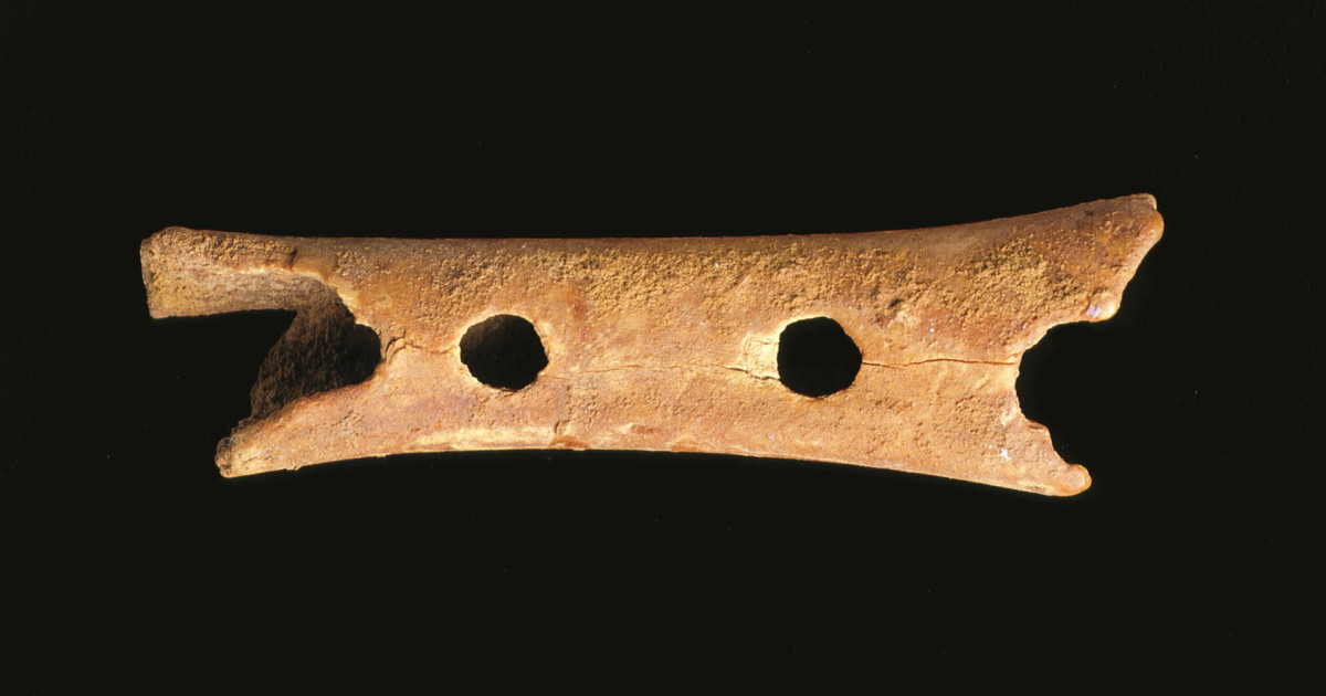 The Neanderthal flute from Divje babe & Slovenia.si